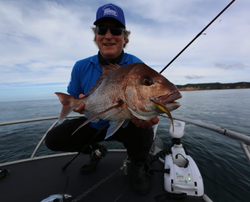 FC Boats | Adding to your fishing boat withy a Minn Kota NZ – Fin Chaser